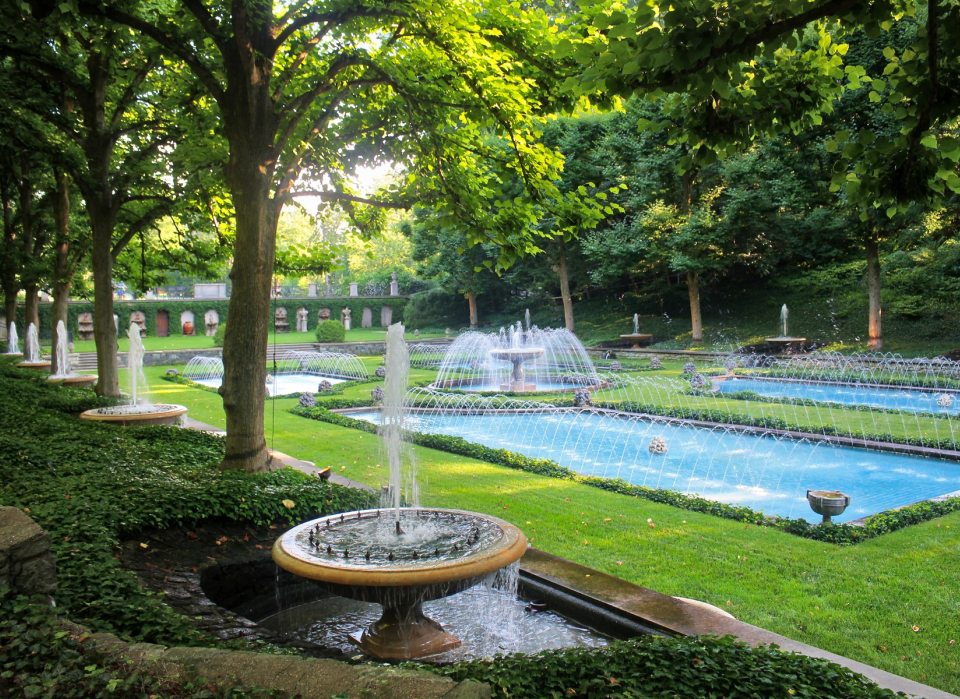 Introduction to Graphic Communications | Longwood Gardens