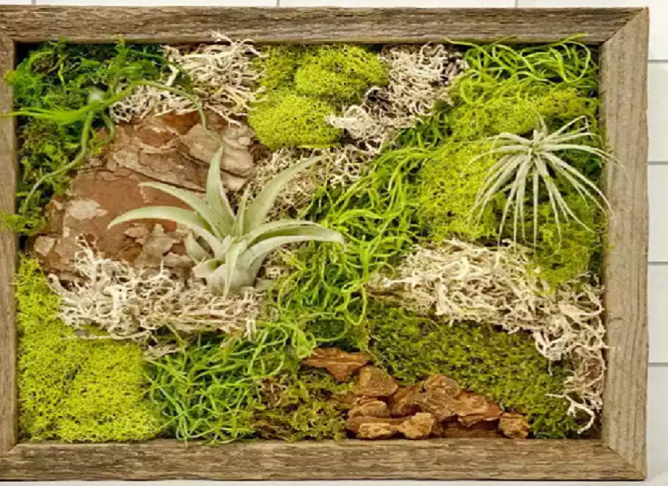 Classes & Workshops | Longwood Gardens