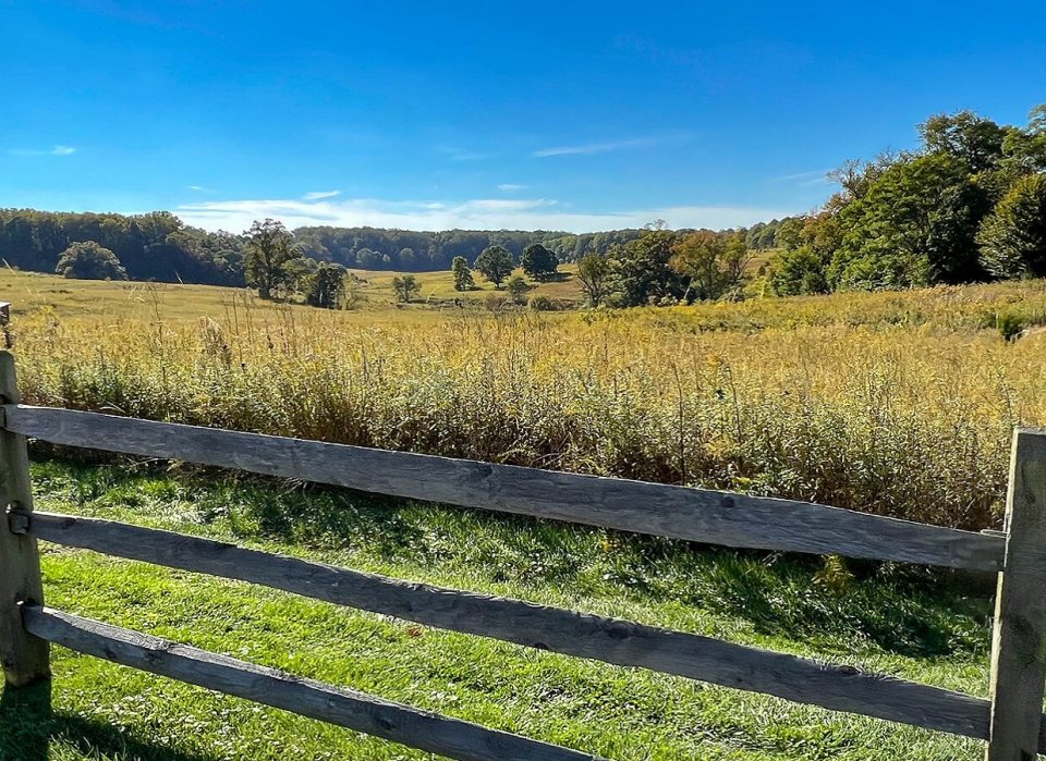 Classes & Workshops | Longwood Gardens