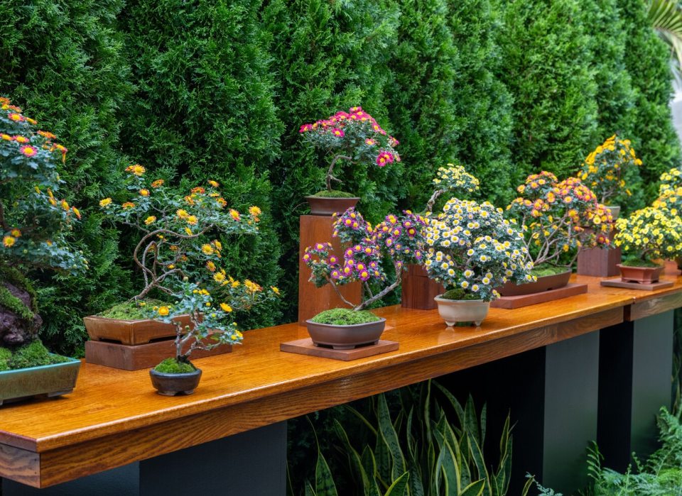 Events & Performances | Longwood Gardens