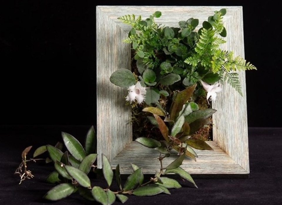 Classes & Workshops | Longwood Gardens