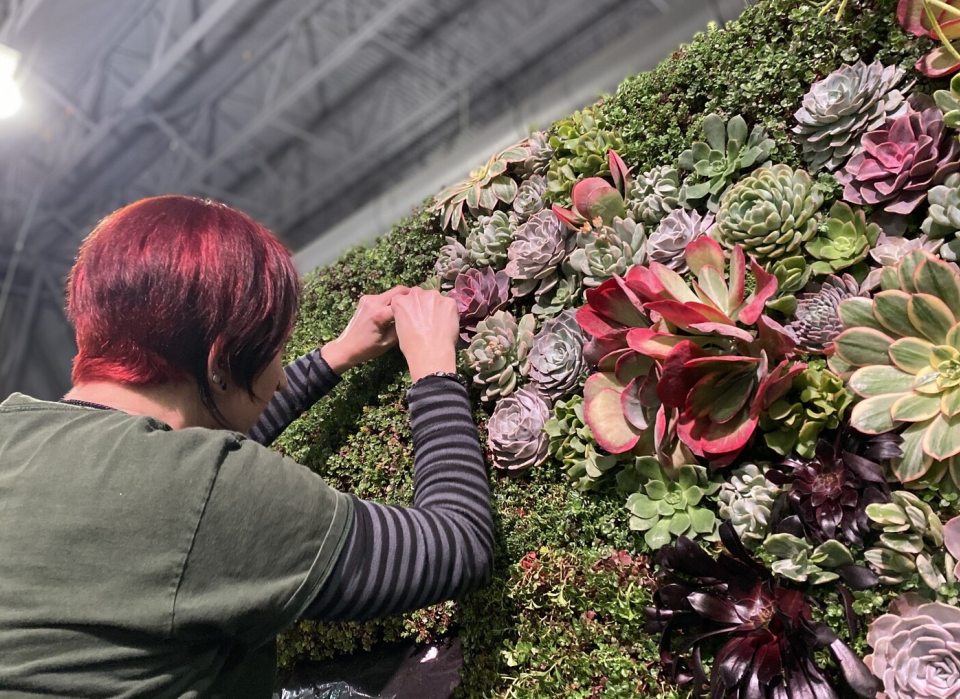 Floral Design | Longwood Gardens