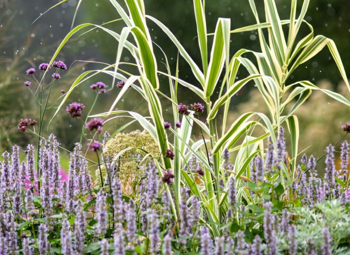 Classes & Workshops | Longwood Gardens