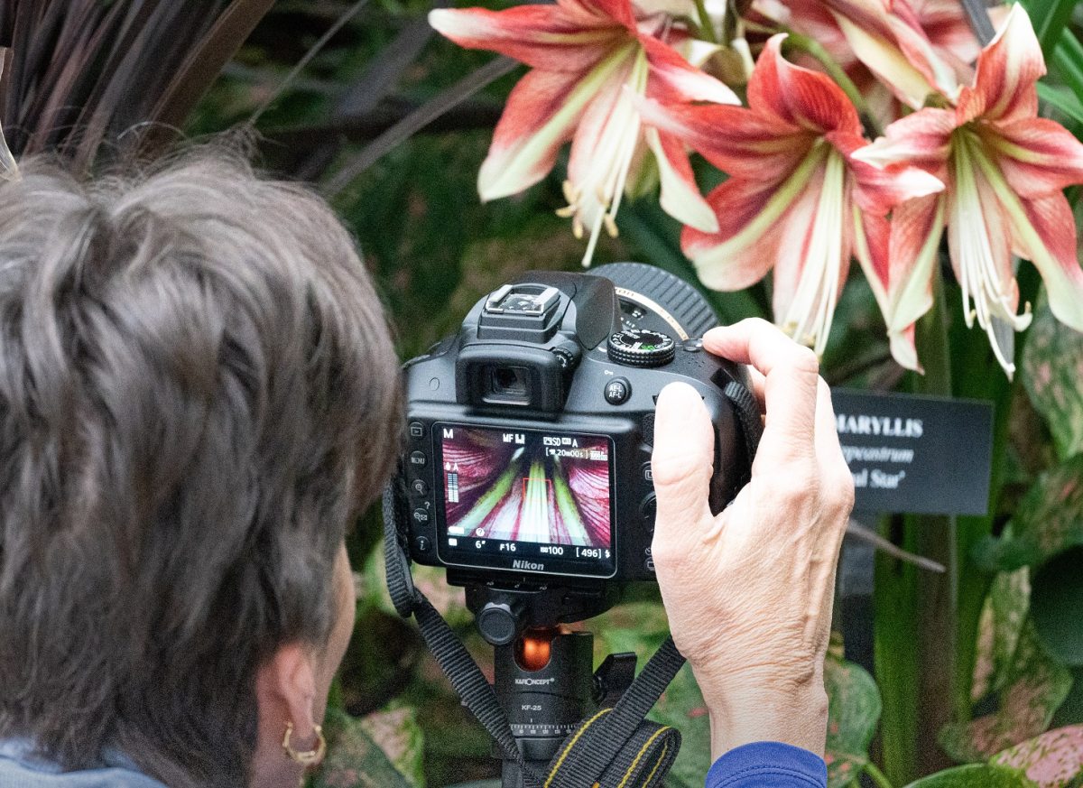 Classes & Workshops | Longwood Gardens