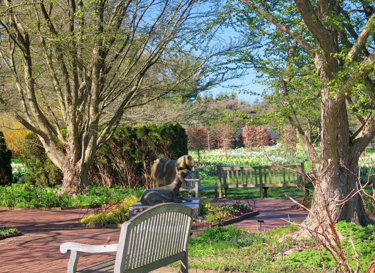 Horticulture & Gardening | Longwood Gardens