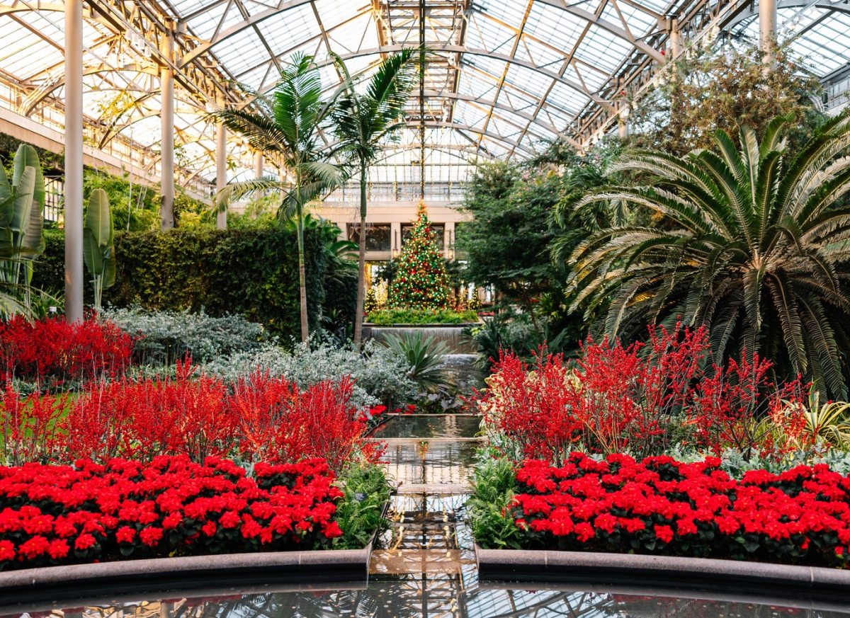 Botanical Art in Graphite and Watercolor | Longwood Gardens