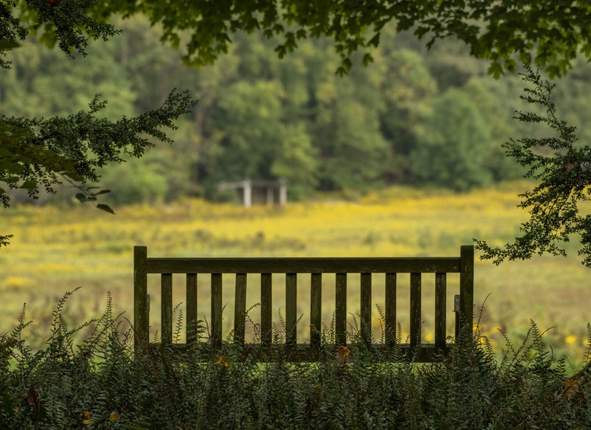 Nightscape Visiting Tips | Longwood Gardens