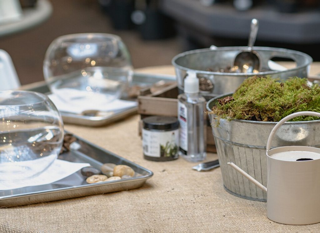 Mini Moss Walls | Longwood Gardens