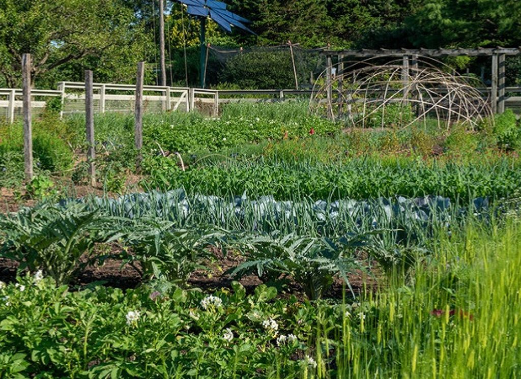 Classes & Workshops | Longwood Gardens