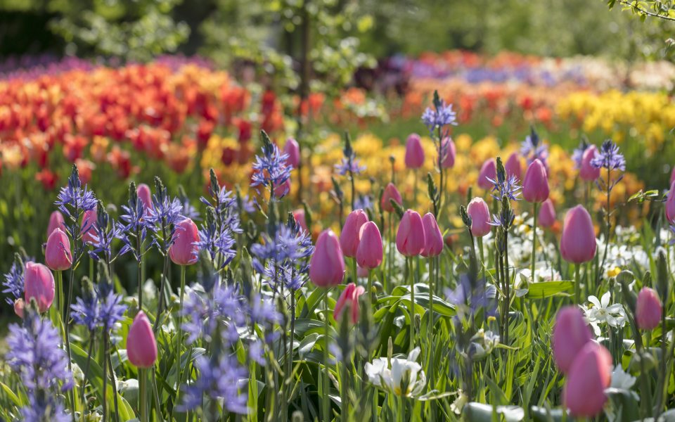 Our Seasons | Longwood Gardens