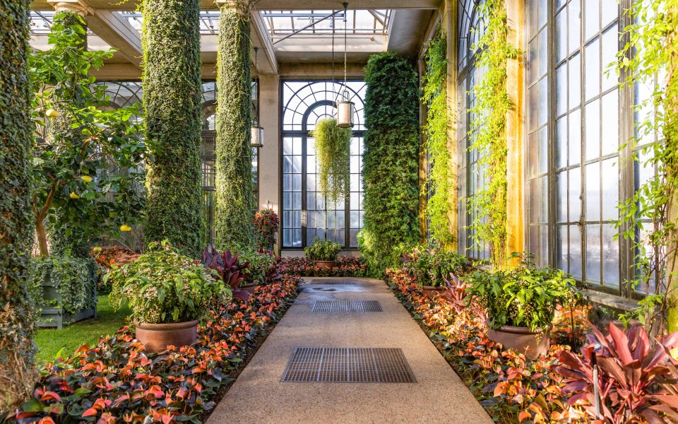 Conservatory District | Longwood Gardens