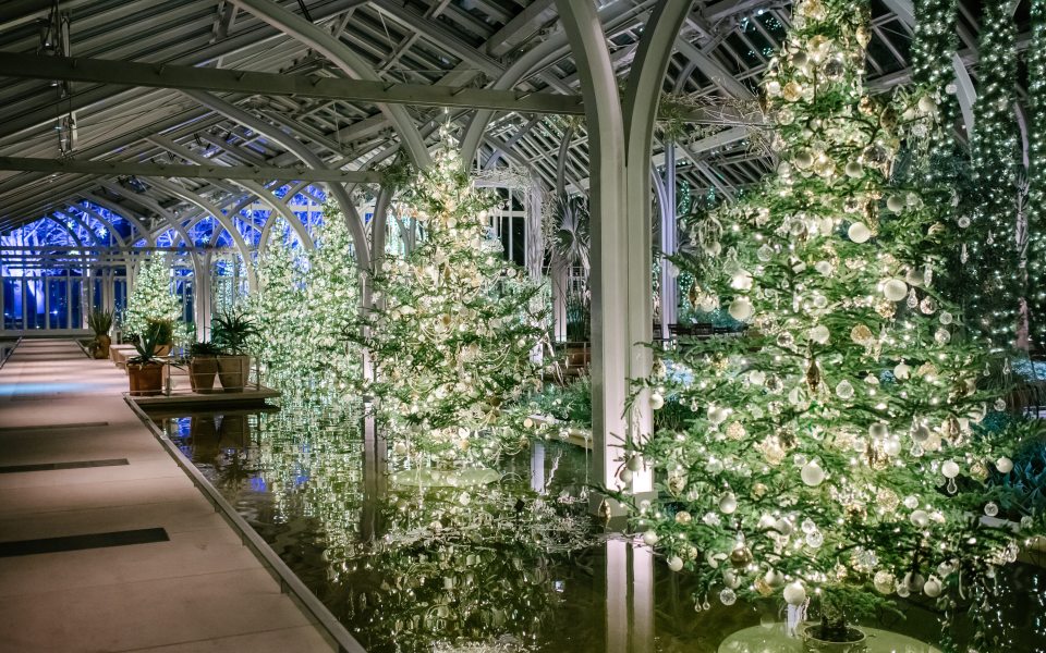 The Singular Art of Kusamono | Longwood Gardens