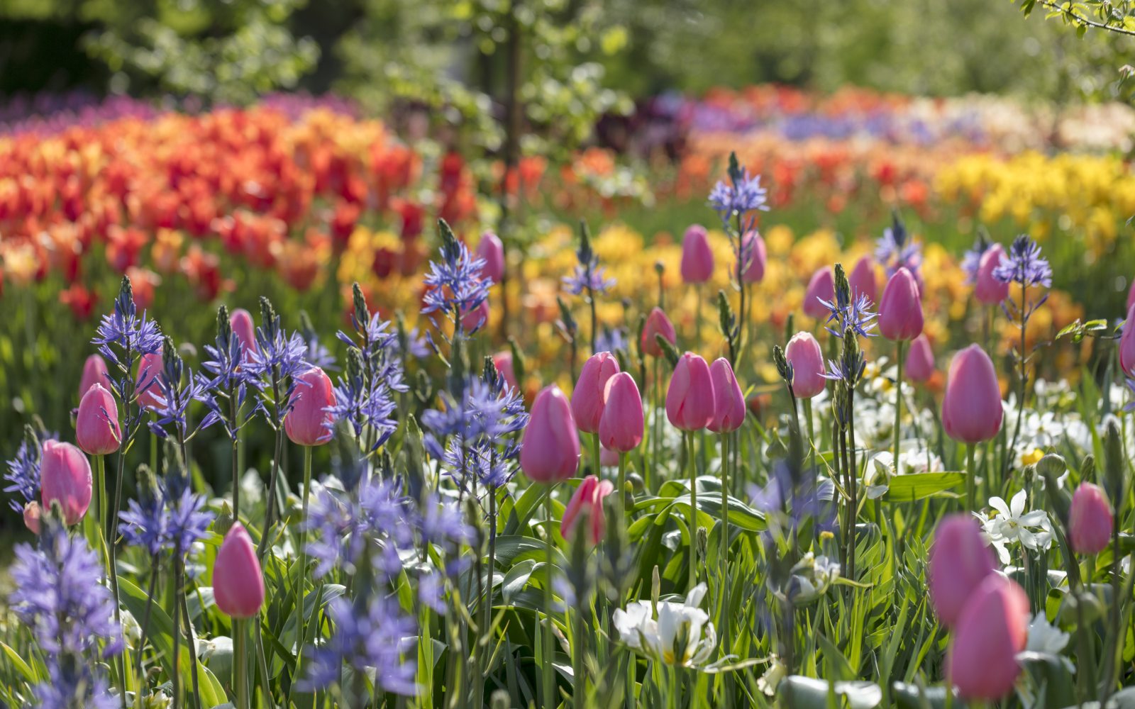 Our Seasons | Longwood Gardens