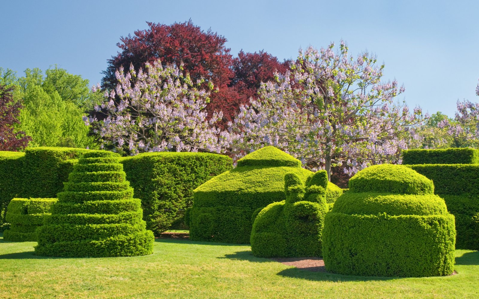 Horticulture & Gardening | Longwood Gardens