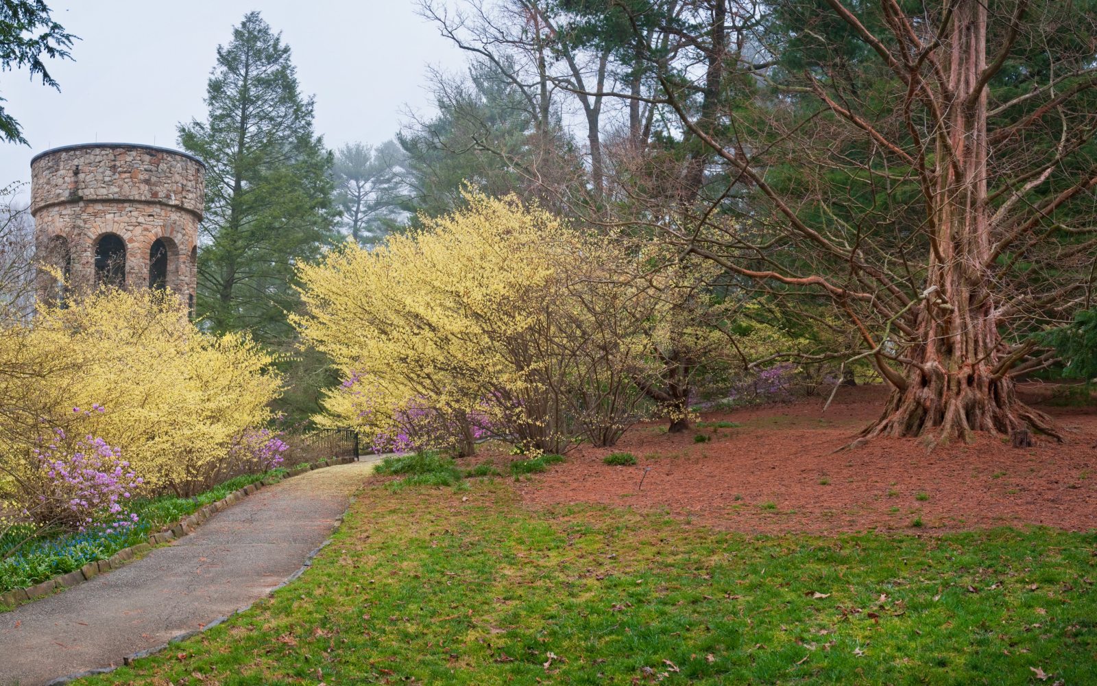 A Plantsman’s Journey Through the Hillside Garden | Longwood Gardens