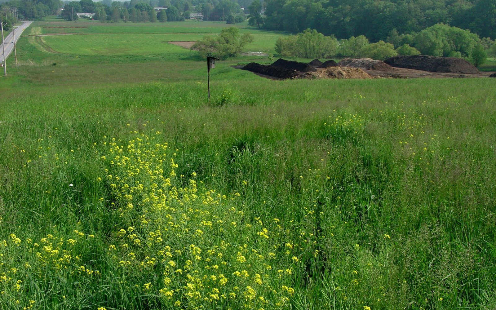 Sustaining Our Natural Resources | Longwood Gardens