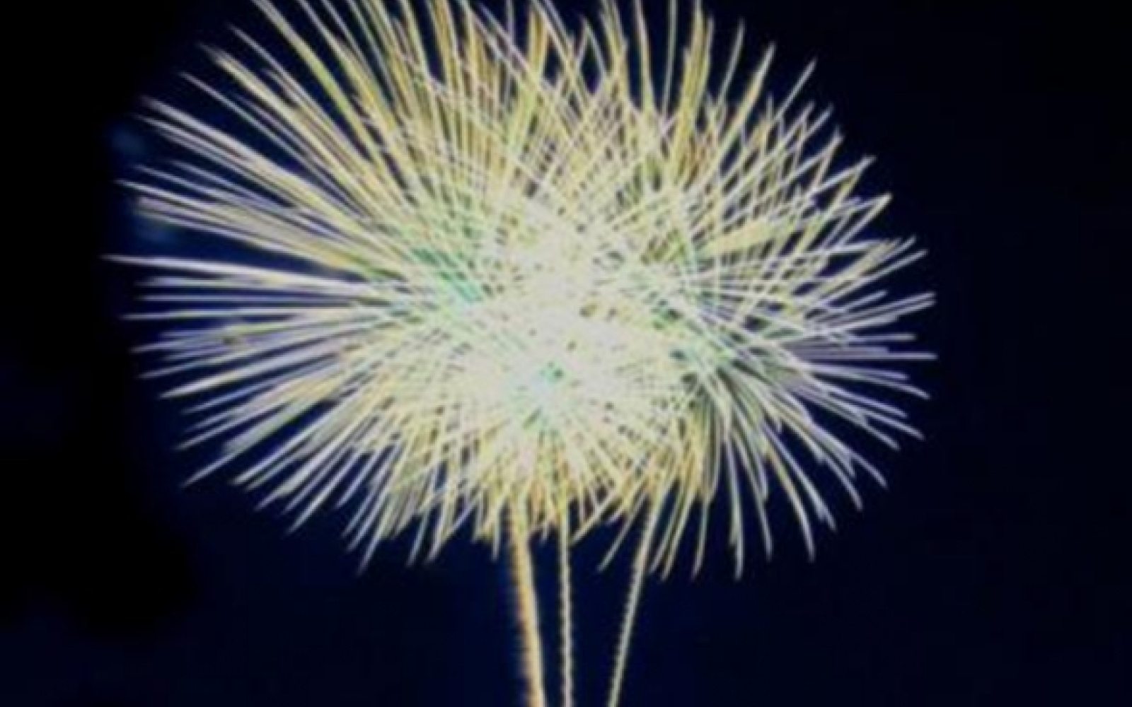 Longwood Launches New ‘Fireworks’ | Longwood Gardens