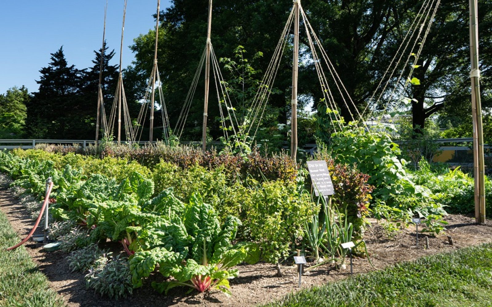 Growing for Good | Longwood Gardens