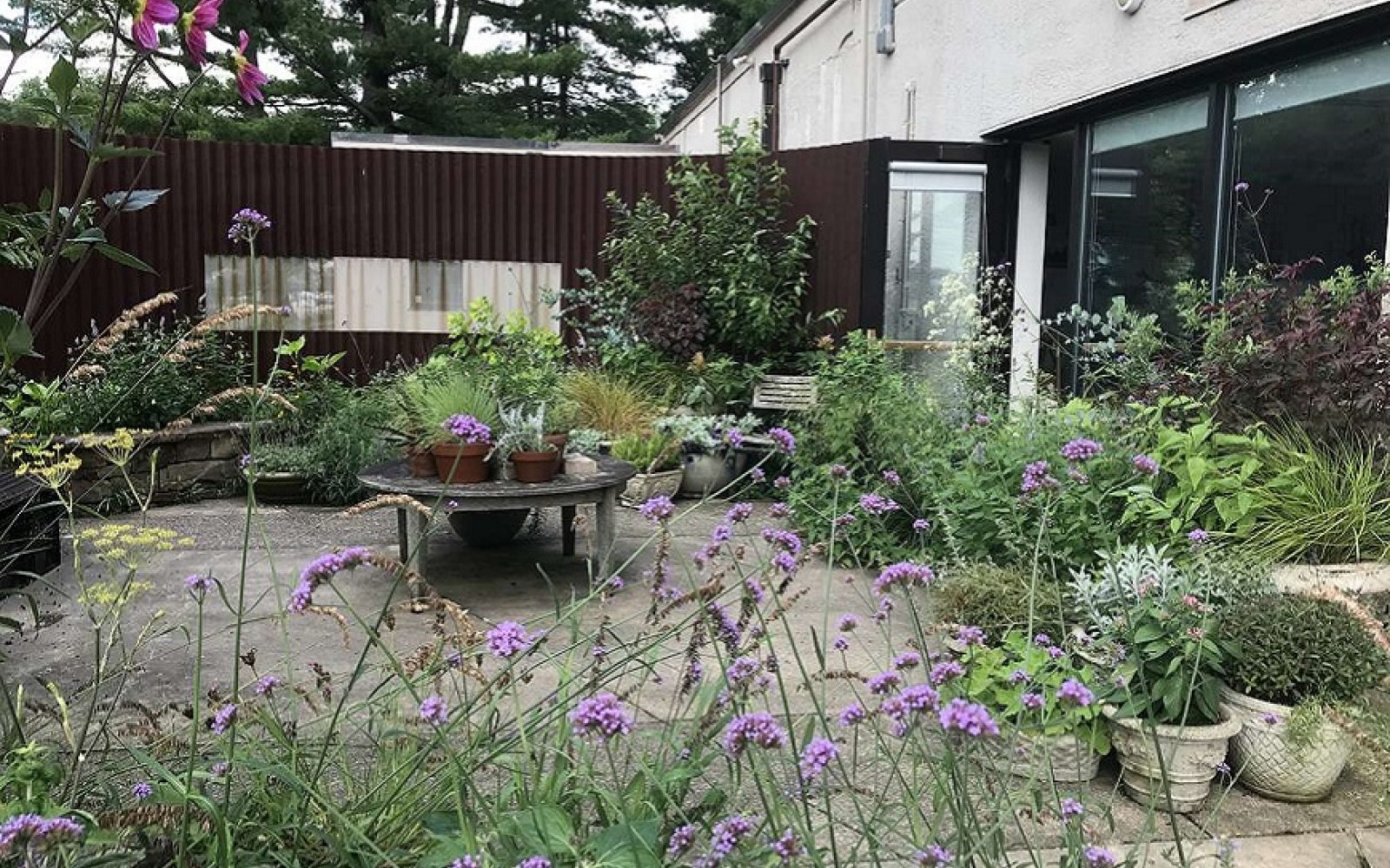 Lessons from the Studio Garden | Longwood Gardens