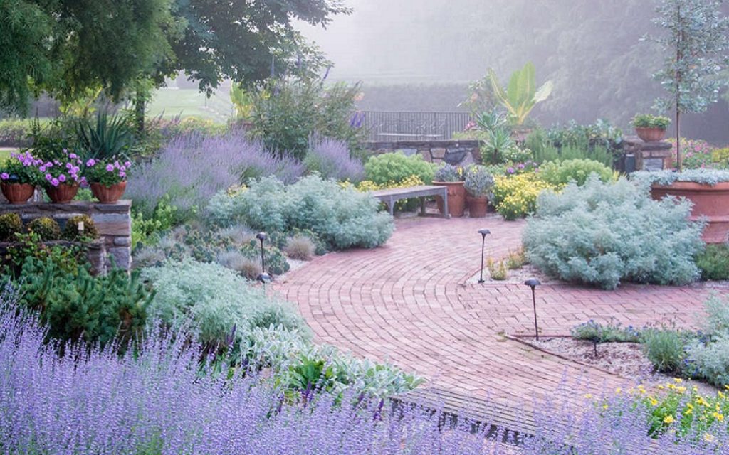 The Drama and Appeal of Our Theatre Garden | Longwood Gardens