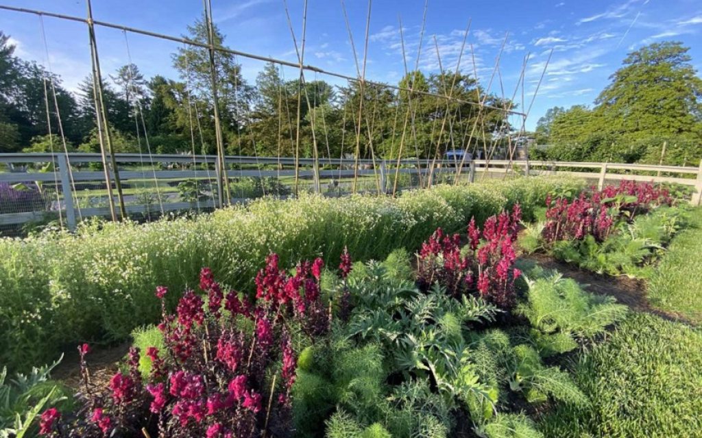 How to Grow Early Spring Vegetables | Longwood Gardens