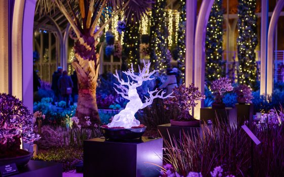 A Gem of an Outdoor Display | Longwood Gardens