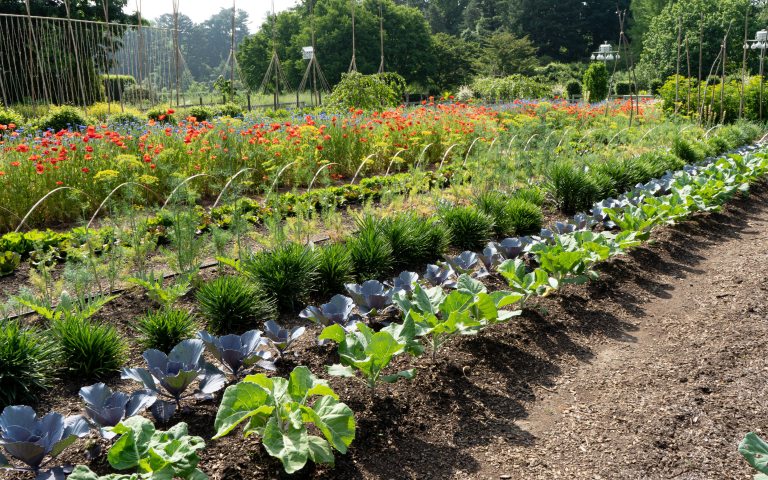 Youth Workshops | Longwood Gardens