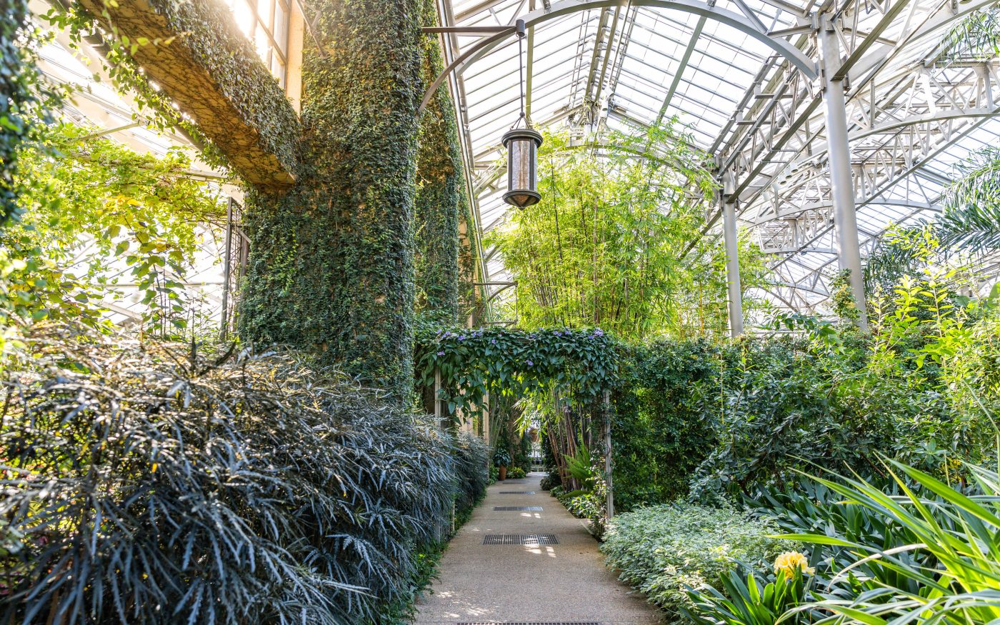 Conservatory District | Longwood Gardens