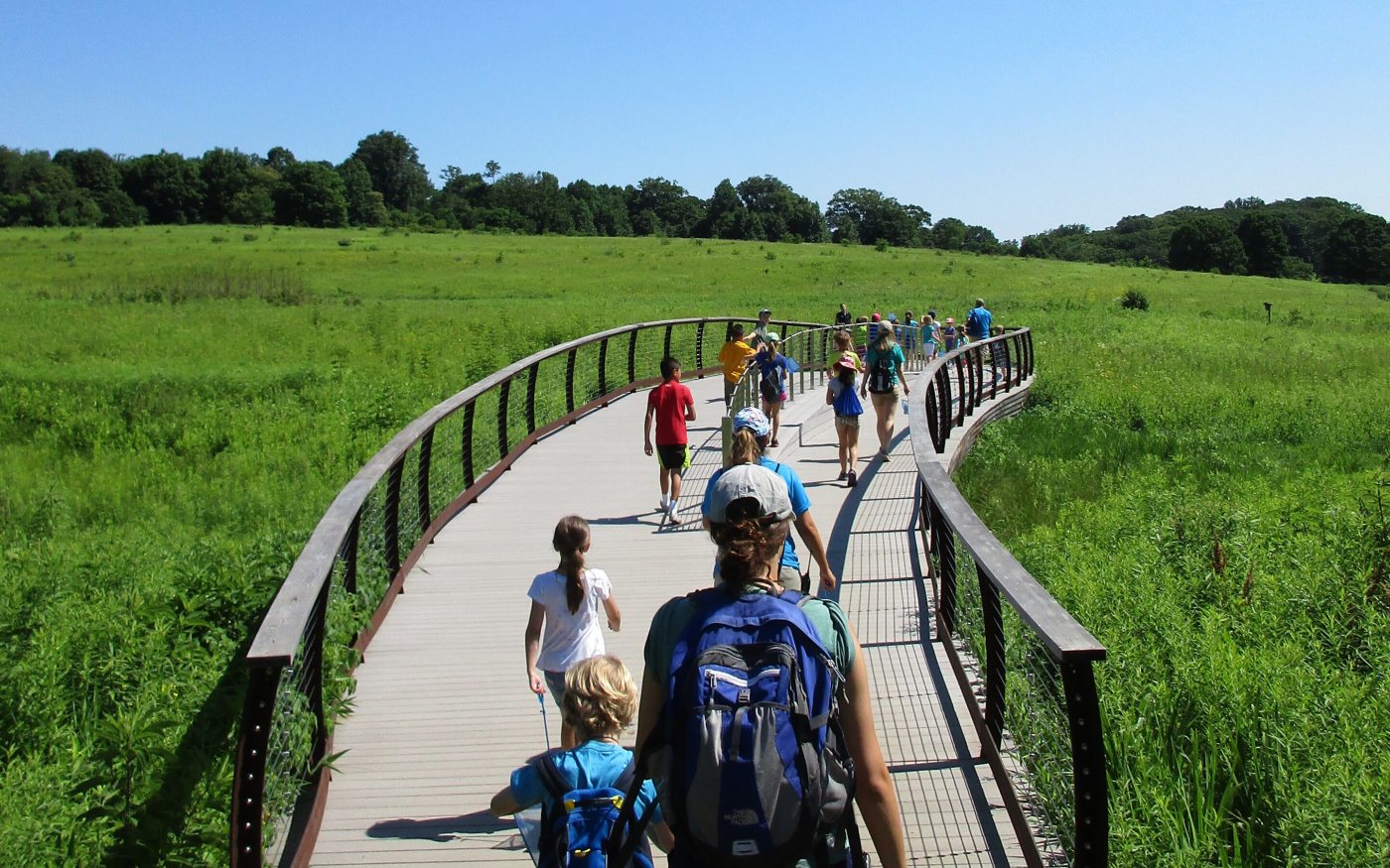Spring Blooms | Longwood Gardens