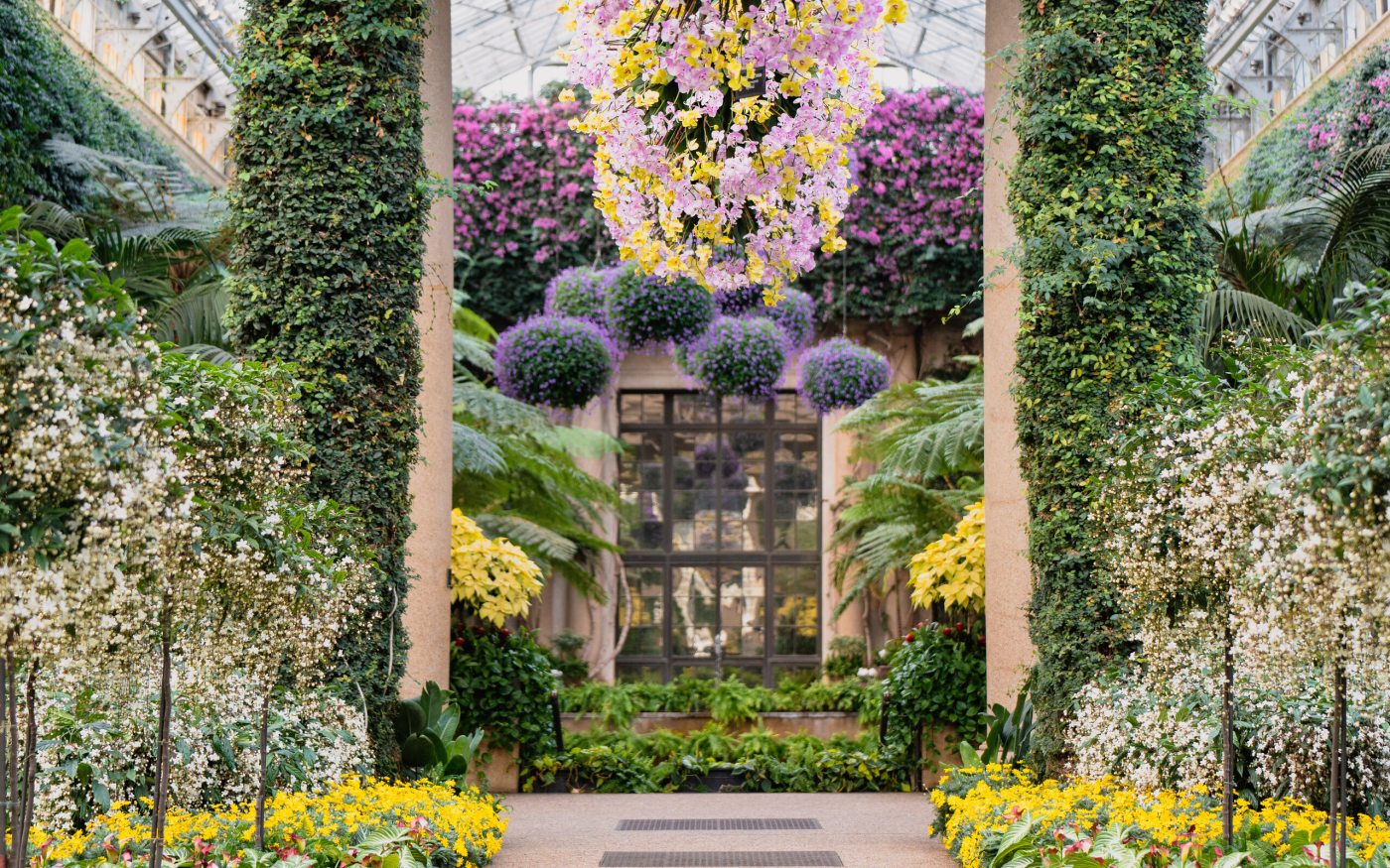 A Longwood Christmas | Longwood Gardens