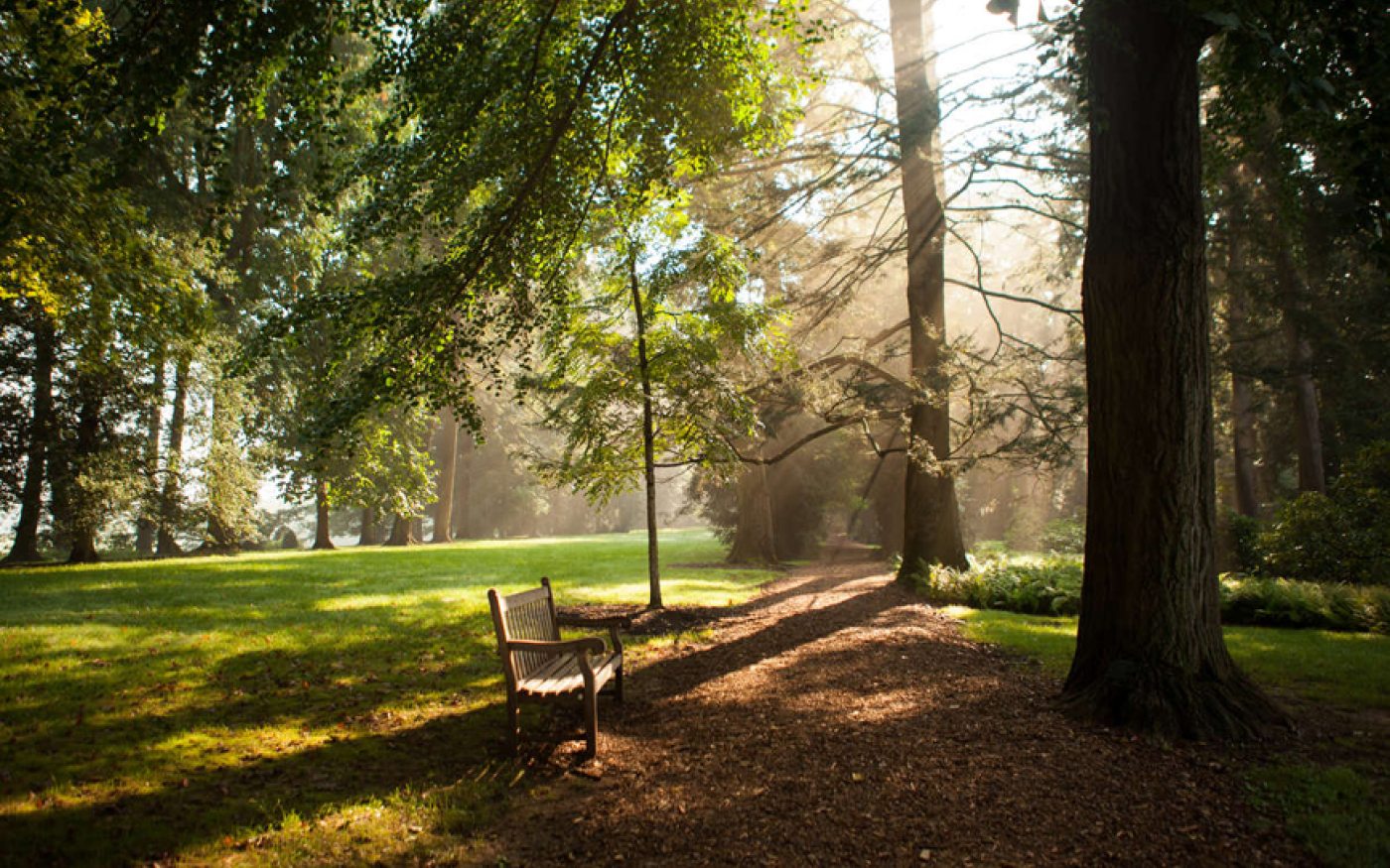 Climate Change and Our Trees | Longwood Gardens