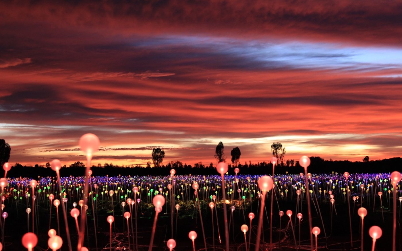 Light: Installations by Bruce Munro | Longwood Gardens