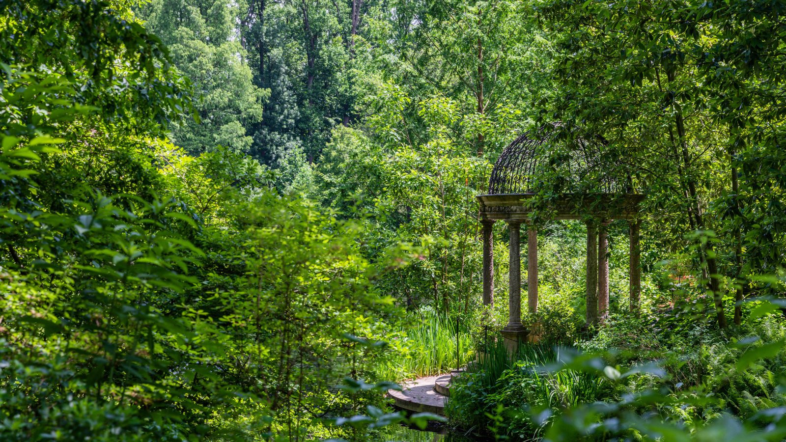 Peirce’s Woods | Longwood Gardens