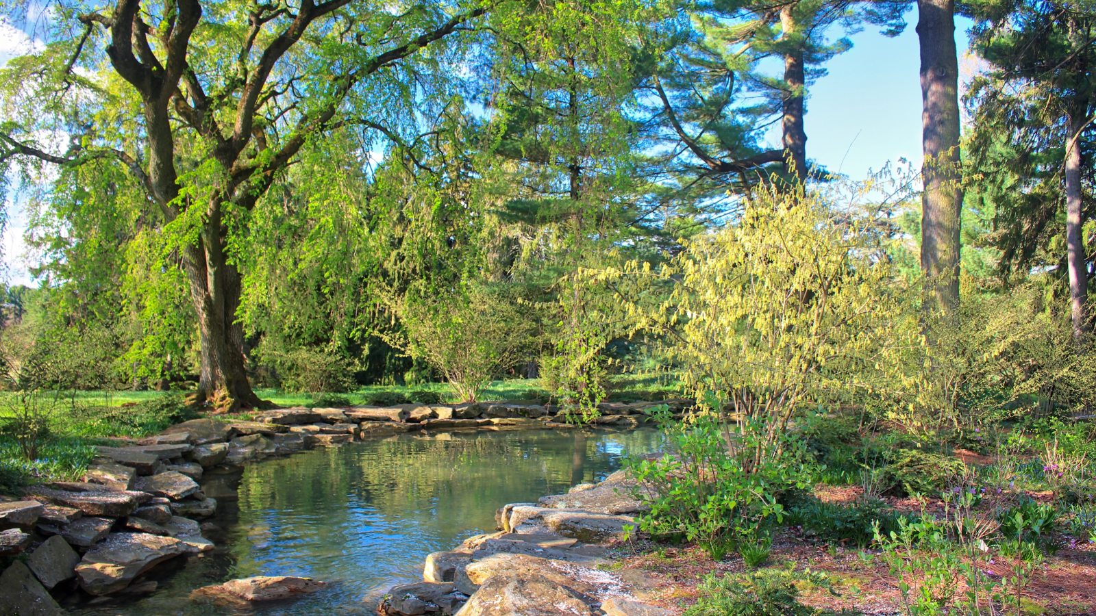 Oak and Conifer Knoll | Longwood Gardens