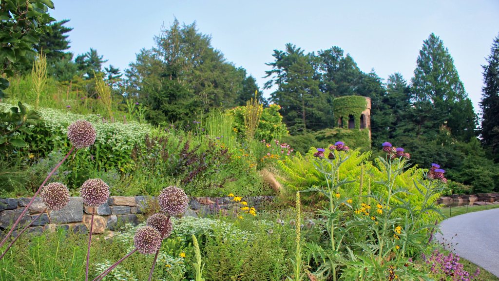 Hillside Garden | Longwood Gardens