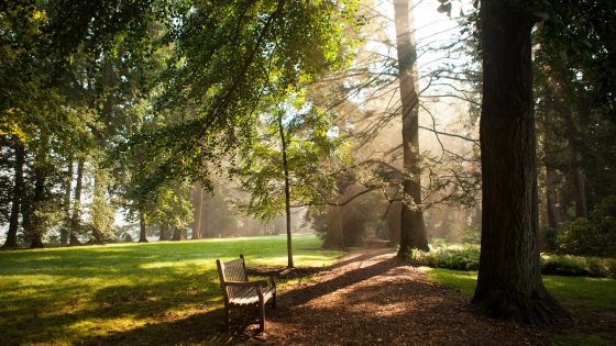Peirce’s Park | Longwood Gardens