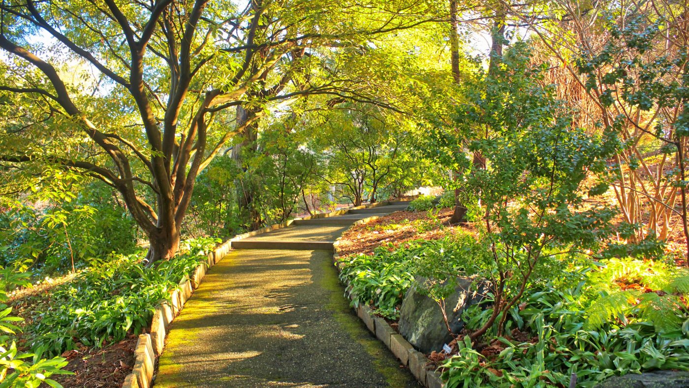 Hillside Garden | Longwood Gardens