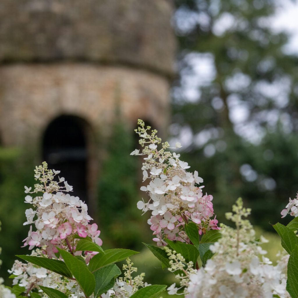 What’s in Bloom | Longwood Gardens