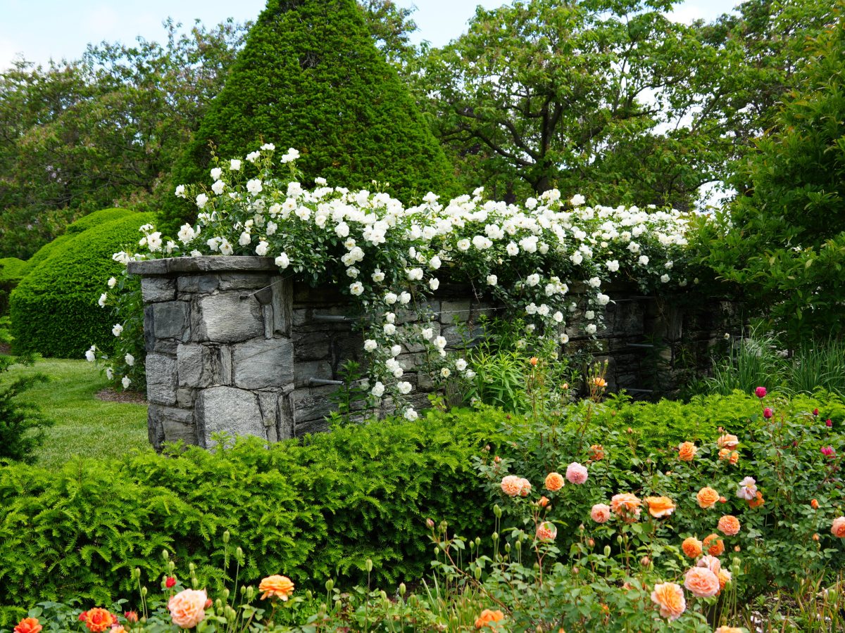 Longwood Gardens
