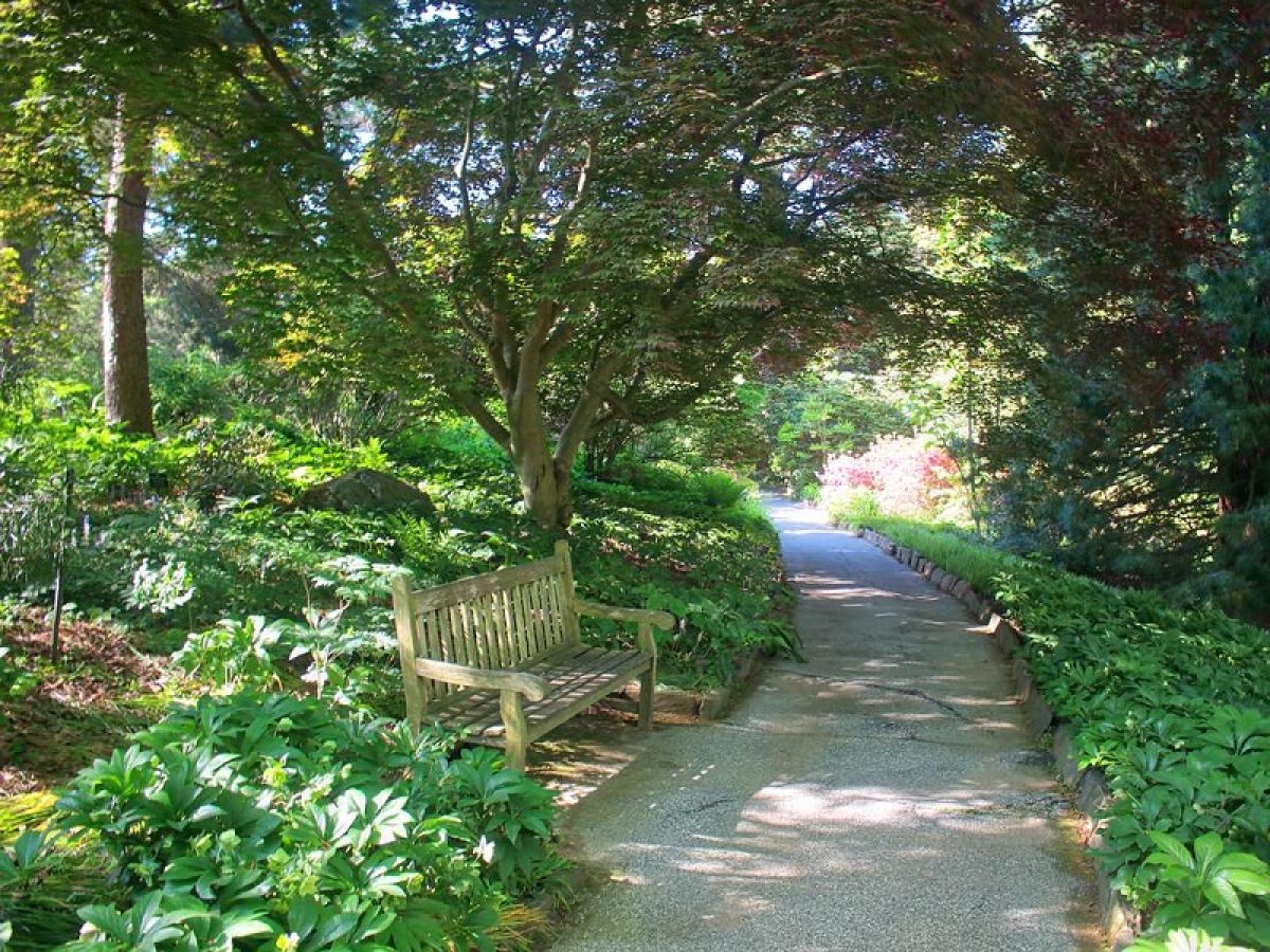 Hillside Garden | Longwood Gardens