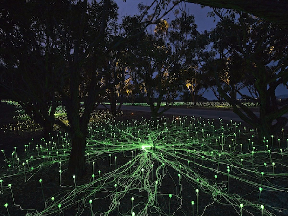 Light: Installations by Bruce Munro | Longwood Gardens