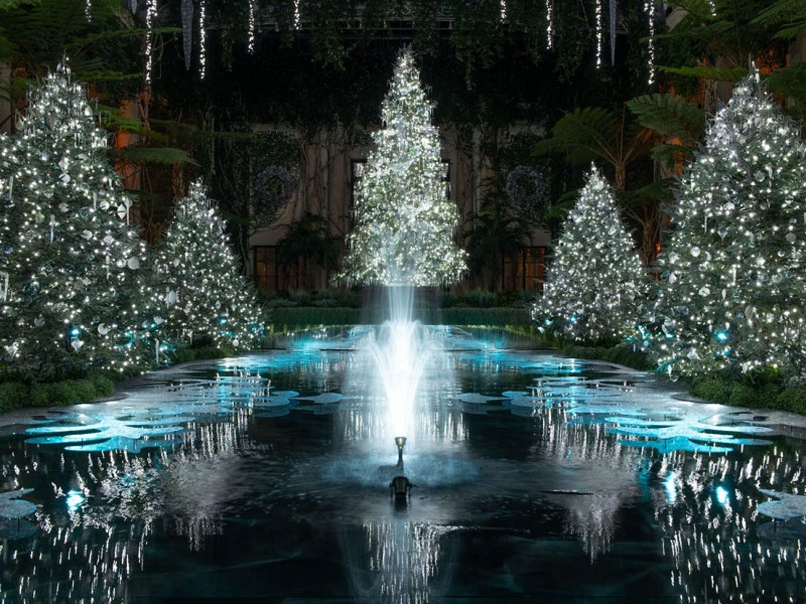 A Longwood Christmas | Longwood Gardens