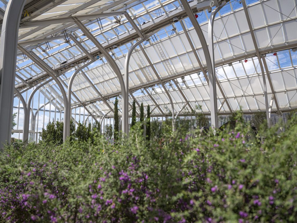 West Conservatory | Longwood Gardens