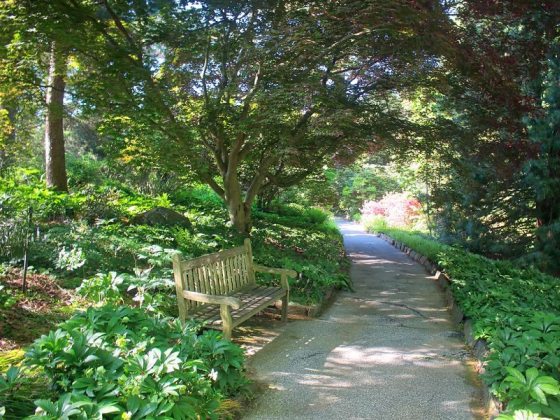 Hillside Garden | Longwood Gardens