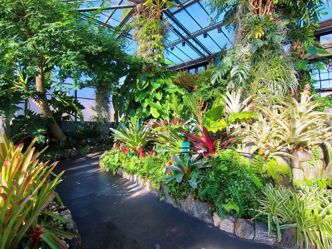 Cascade Garden | Longwood Gardens