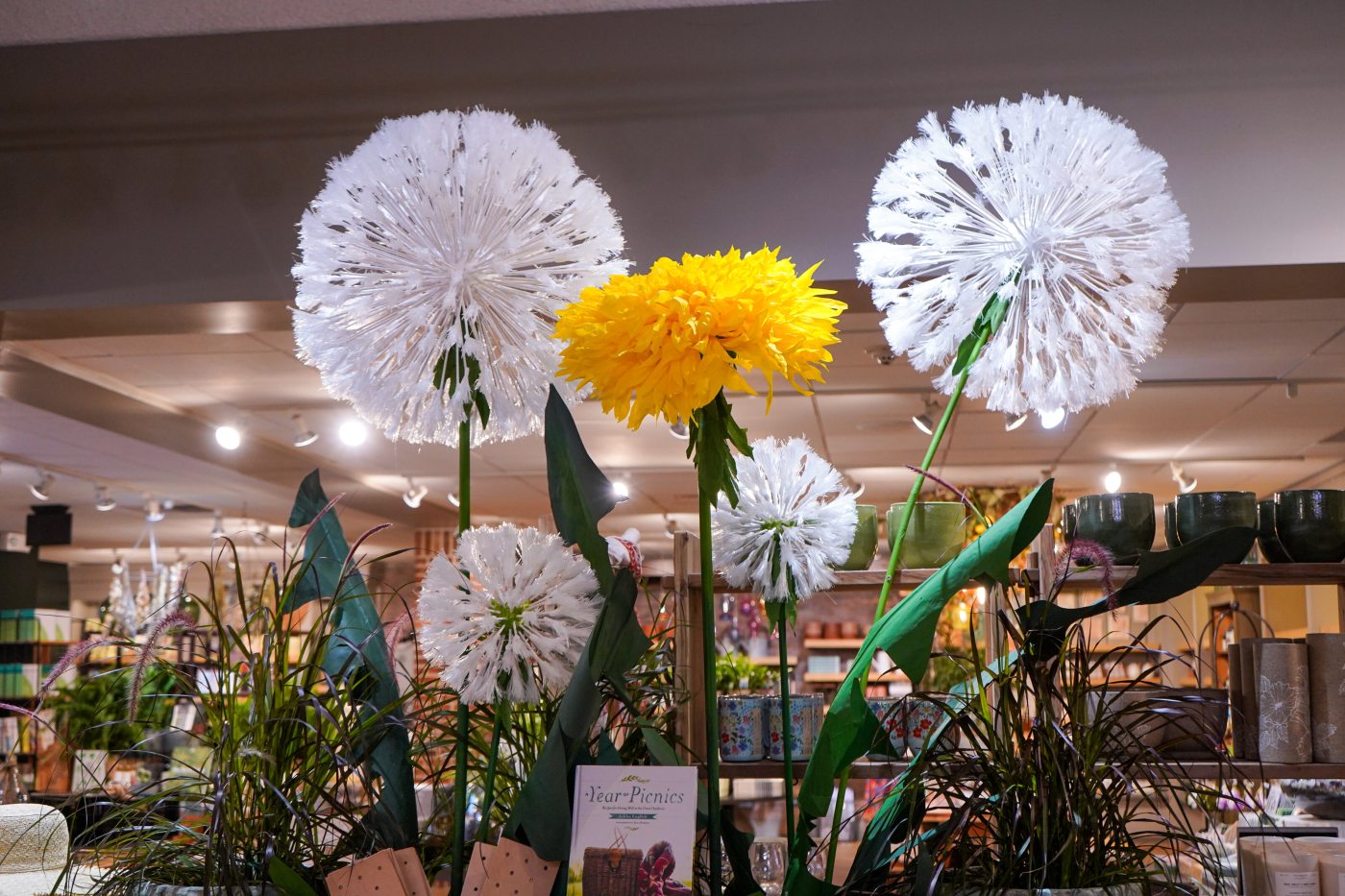 Our Blog | Longwood Gardens