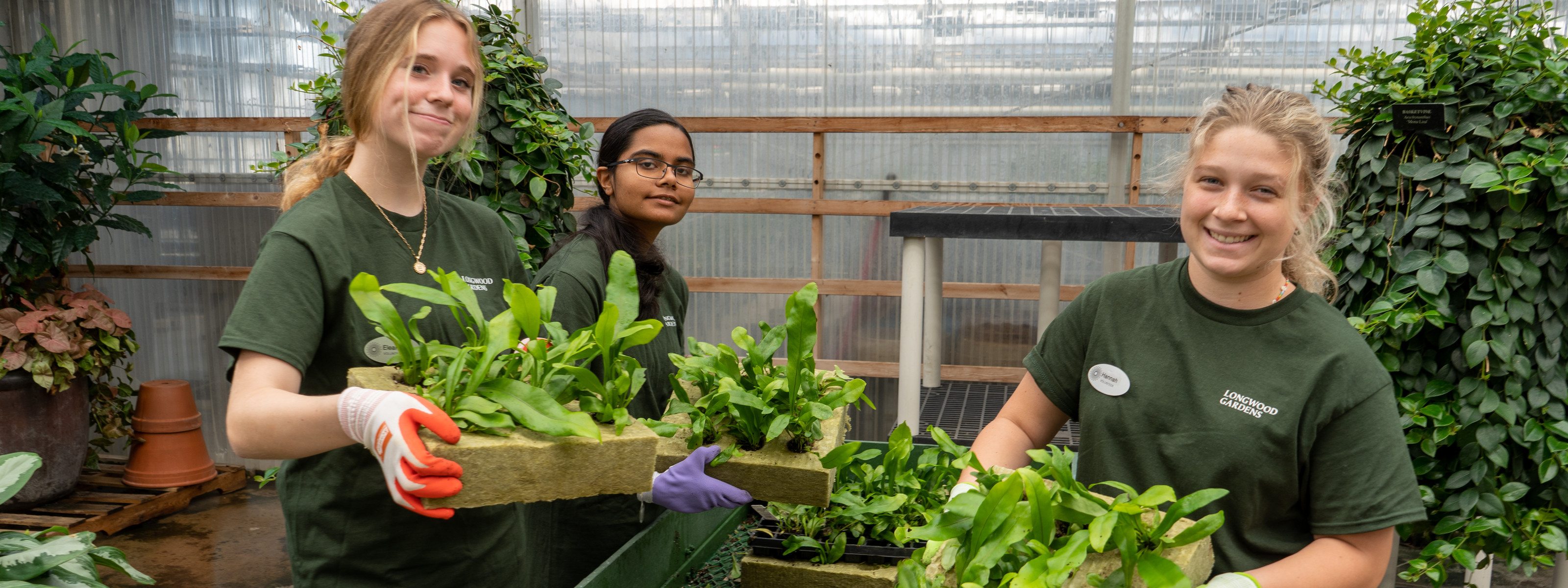 Growing Minds | Longwood Gardens