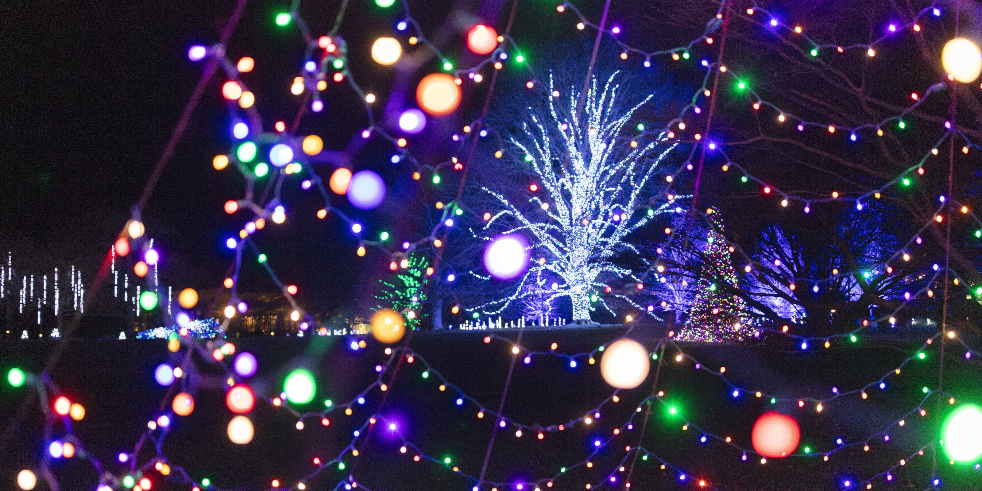 A Longwood Christmas | Longwood Gardens
