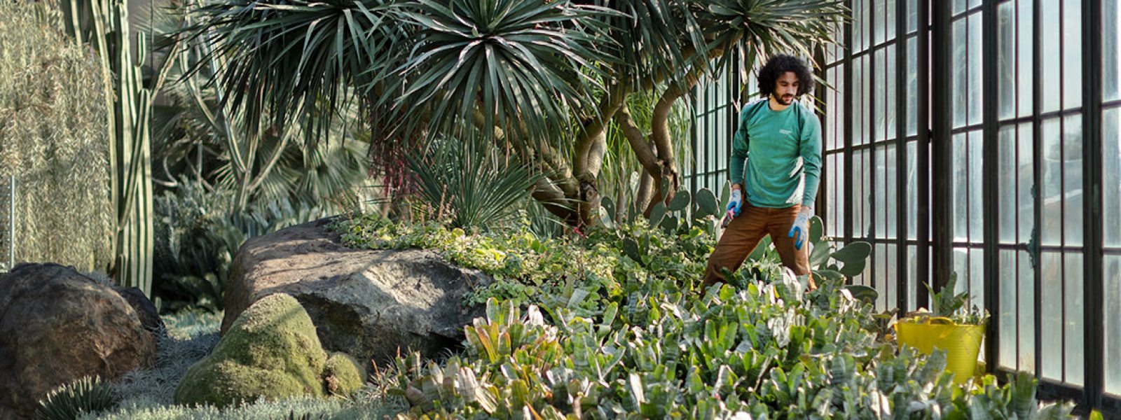 Professional Horticulture Program FAQs | Longwood Gardens