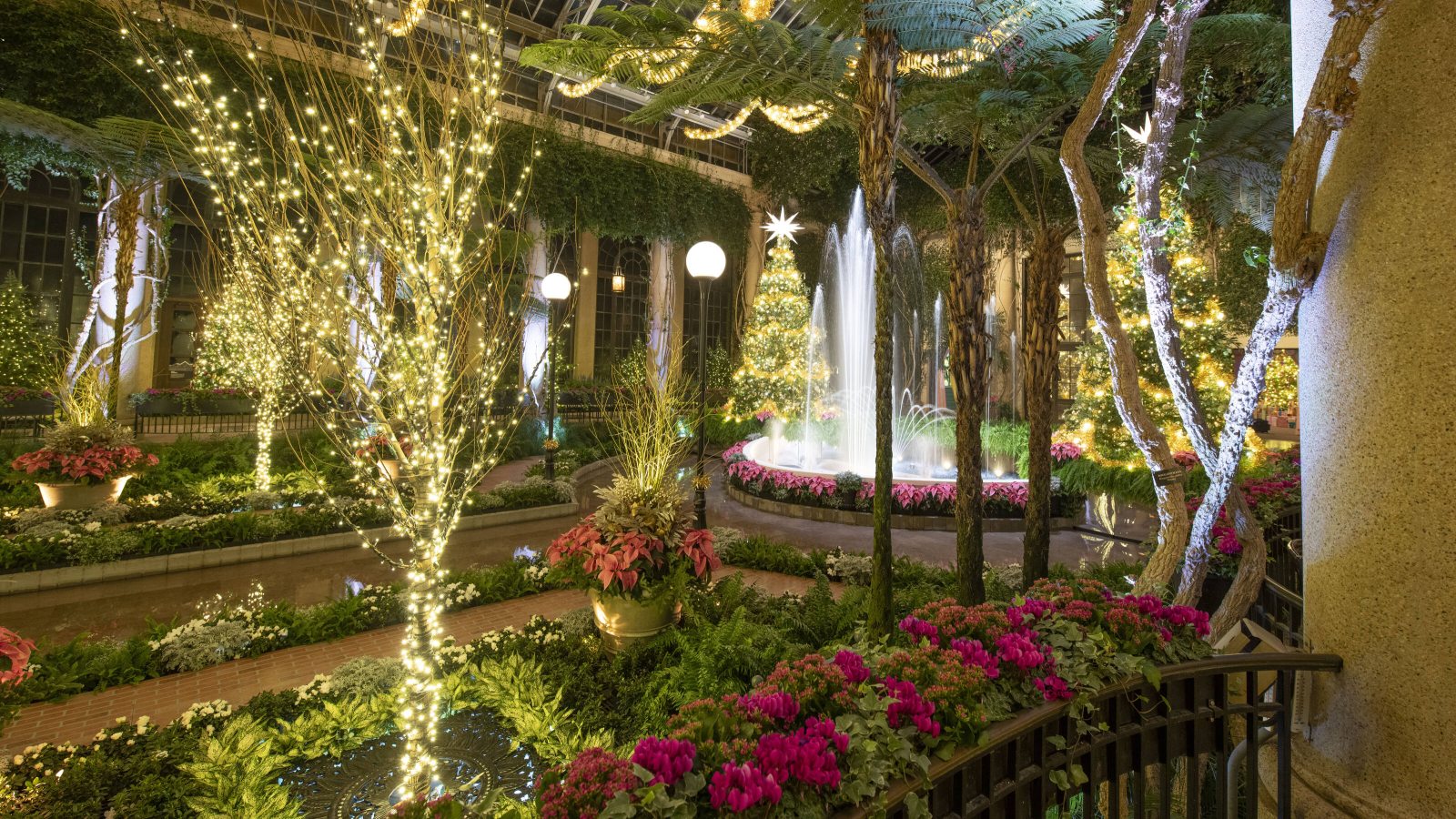 A Longwood Christmas | Longwood Gardens